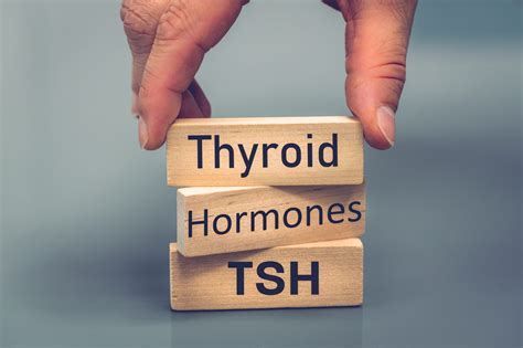 Understanding The Impact Of The Thyroid Gland On Womens Health British Mums