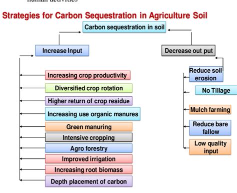 Strategies For Carbon Sequestration Management Practices For Carbon Download Scientific Diagram