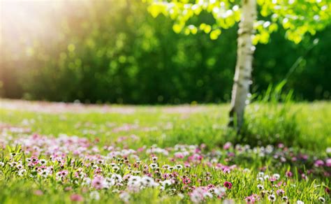 Sixty Something The Forever Youthfulness Of Spring Fever Hamptons