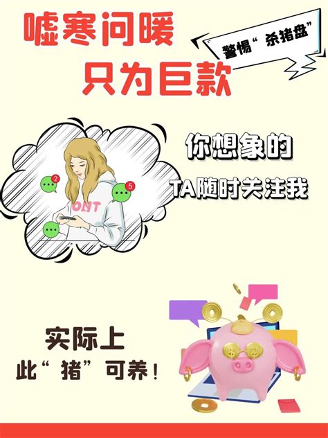 网恋需谨慎警惕杀猪盘 澎湃号政务 澎湃新闻 The Paper