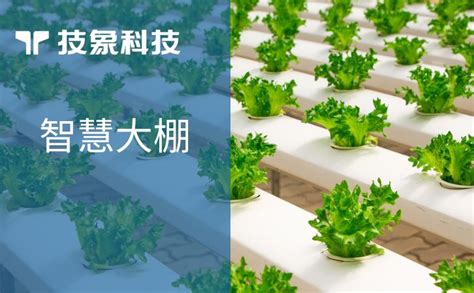 智能大棚的智能控制体现在哪些方面？ 技象科技