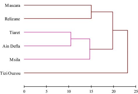 Dendrograms Based On Euclidean Distances Using Clustering Wards Method