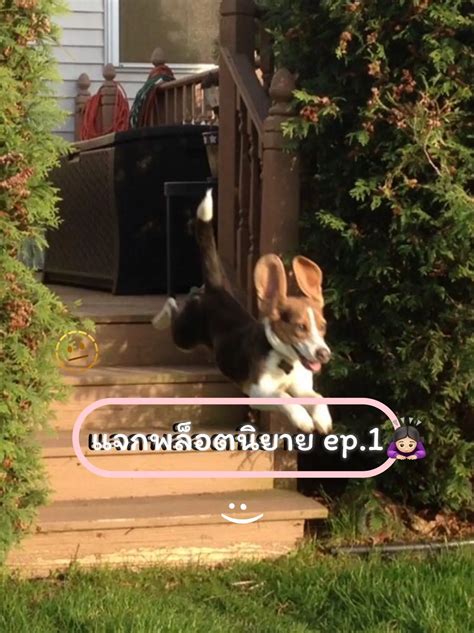 แจกรูประบายสีคั้ป แกลเลอรีที่โพสต์โดย 💘💗เอแคร์งาย Lemon8