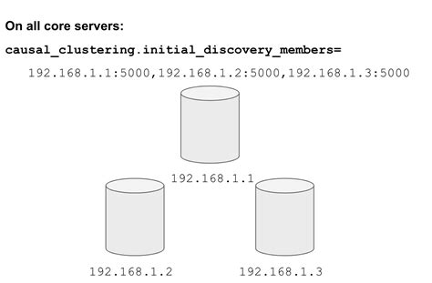causal clustering in neo4j neo4j graph database platform