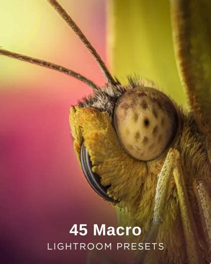 Lightroom Presets For Macro Photography 45 Presets 1 Only