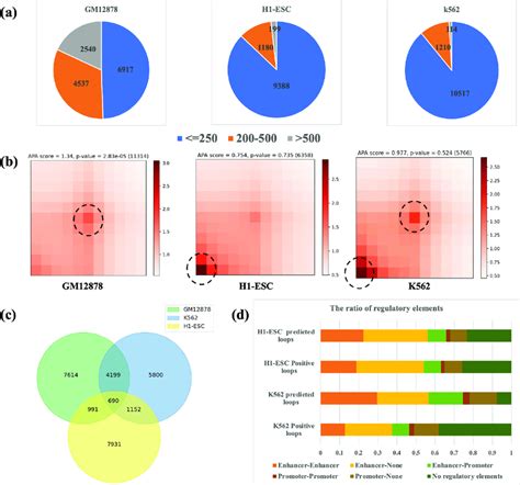 Comparison Of Chromatin Loops Among Cell Types A Distance Download Scientific Diagram