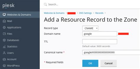 Setup DNS Records For Google Workspace In Plesk Snel