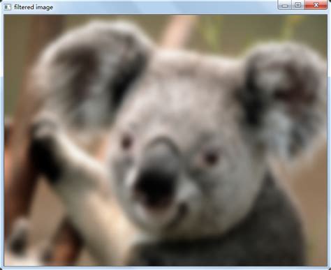 opencv 学习（几种基本的低通滤波） 二维 图像 滤波 csdn博客