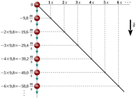 Acceleration Vs Time Graph Free Fall