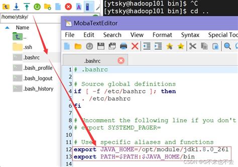 虚拟机安装配置jdk和hadoop1配置虚拟机中jdk、hadoop、hbase等应用的环境变量并测试。 Csdn博客