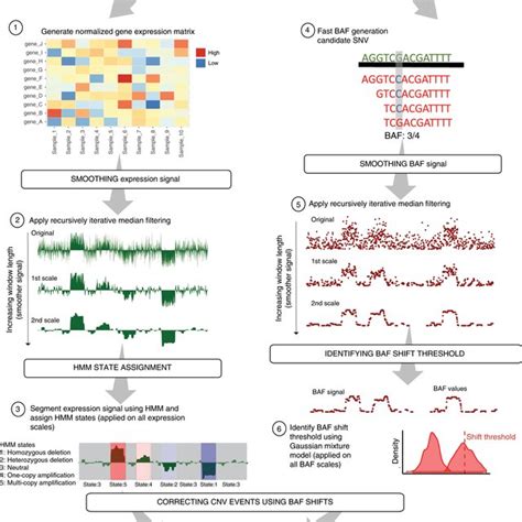 casper algorithm applied to bulk tcga gbm rna seq dataset a heatmap of