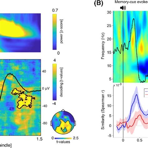 Electrophysiological Evidence For Memory Reactivation In Human Sleep Download Scientific