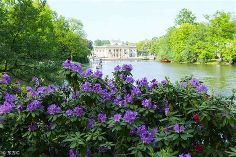 以前東北人為什麼愛去南方打工？現在寧可少賺錢也要在家附近找活 每日頭條