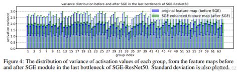 Sge Spatial Group Wise Enhance Improving Semantic Feature Learning In