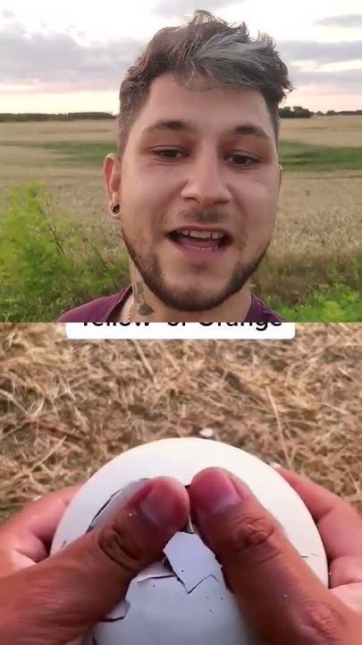 And How Many Did You Get Right Shorts Youtube