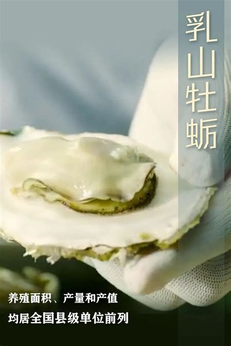 瞭望·治国理政纪事丨乡村振兴齐鲁样板凤凰网资讯凤凰网