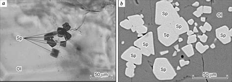 Photomicrographs Of Primary Olivine Grains With Inclusions Of Spinel Download Scientific