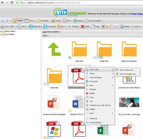 9 Best ASP NET File Managers FROMDEV