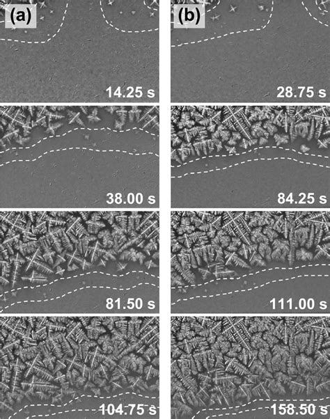 Time Evolution Of Nucleation Bursts Under Temperature Gradient A G