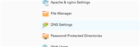 How To Edit Dns Records In Plesk Cynderhost