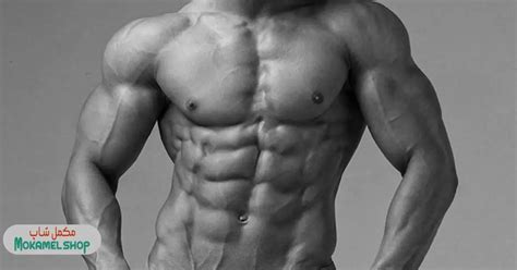 کدام عضلات را با هم تمرین دهیم؟ مکمل شاپ