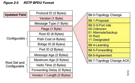 NetOsPgm STP VS RSTP