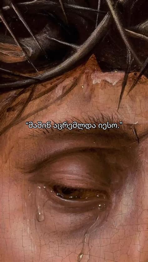 ნიკა ჯიაძე Nikajiadze • Instagram Photos And Videos