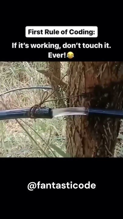 First Rule Of Coding Programmingmemes Funny Memes Short Shorts