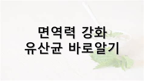 유산균 효능 7가지와 부작용 올바른 섭취 방법 시즌매뉴얼
