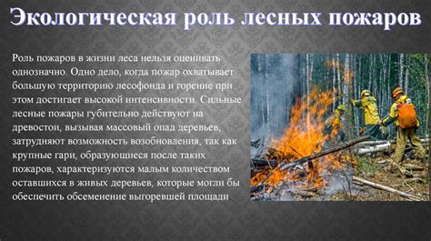Лесные пожары презентация онлайн