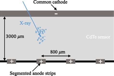 Spectral Correction Algorithm For Multispectral Cdte X Ray Detectors