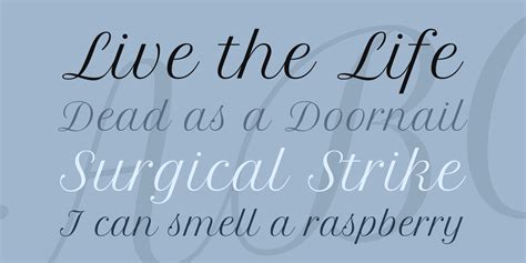 8 Classy Script Font Images Elegant Script Fonts Free Elegant Script Fonts And Elegant Script