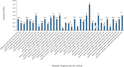 The Effect Of Substrate × Irrigation Interval × Cultivar” On Catalase Download Scientific