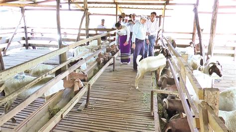 ရန်ကုန်တိုင်းဒေသကြီးအတွင်း အသားလိုအပ်ချက် ပြည့်ဝဖူလုံပိုလျှံစေရေးနှင့