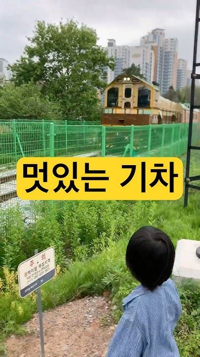 처음 보는 기찻길 너무 멋진 기차 Youtube