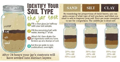 How To Identify The Soil Type In Your Garden