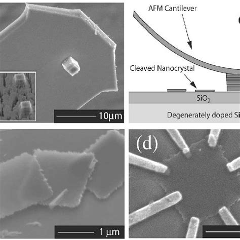 Yuanbo Zhang Fudan University Shanghai Department Of Physics Research Profile