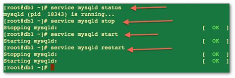 Centos 7 Install Mysql 6 Passlplanner