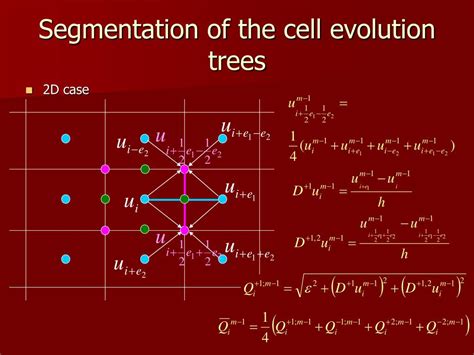 Ppt 4d Numerical Schemes For Cell Image Segmentation And Tracking