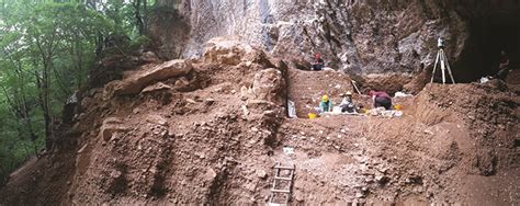 ცუცხვათის სენსაცია კვირის პალიტრა