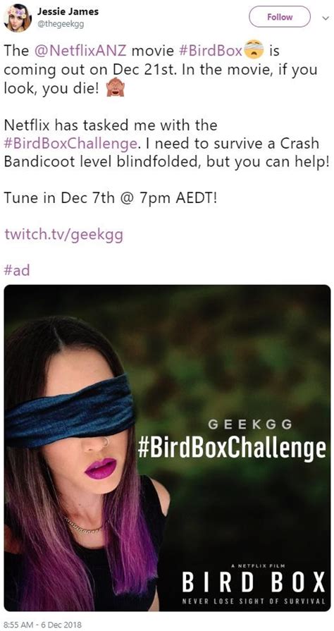 Bird Box Challenge Know Your Meme