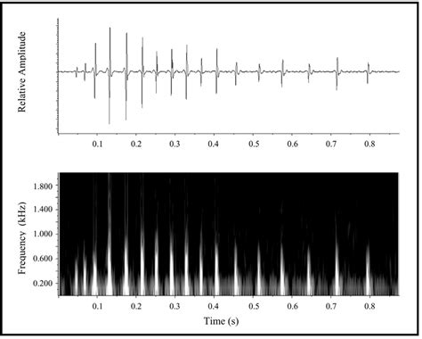 Oscillogram A And Sonagram B Of A Courtship Sound Produced By A Download Scientific Diagram