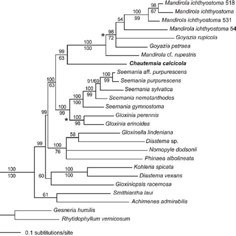 Bayesian 50 Majority Rule Consensus Tree Resulting From The Combined
