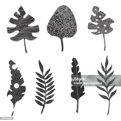 검은 손바닥 몬스터 정글 잎 배경 화면 직물 인쇄 카드 포장 벡터 정글 잎의 집합입니다 흰색 고립 된 배경에 열대 이국적인 잎 0명에 대한 스톡 벡터 아트 및 기타 이미지