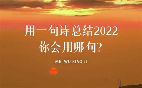 年年岁岁花相似岁岁年年人不同如果用一句诗来形容2022这一年的生活你 哔哩哔哩