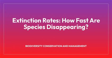 Extinction Rates How Fast Are Species Disappearing • Environmental