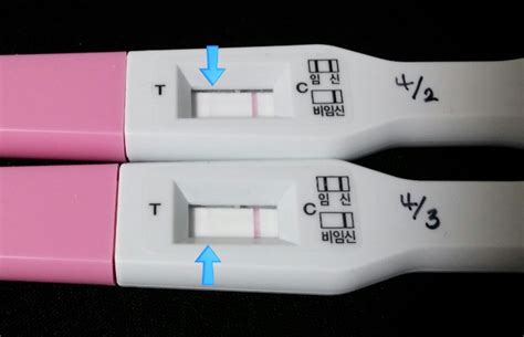 둘째 임신 준비 배란예정일 이후 12일 네이버 블로그