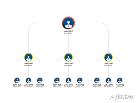 Organizational Structure Of The Company Business Hierarchy Infographic Posters For The Wall
