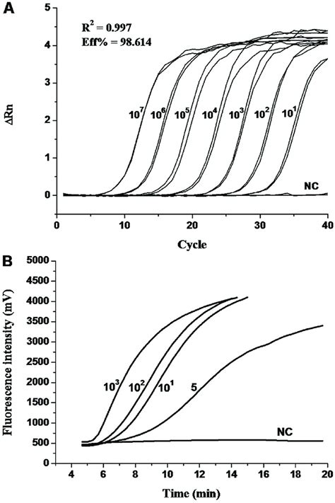 Qpcr Primer Annealing Temperature At Christy Calvin Blog
