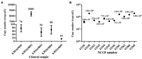 Frontiers Rapid And Sensitive Amplicon Based Genome Sequencing Of Sars Cov 2